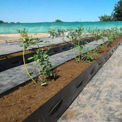 Buy Strawberry Hydroponic System Pp Growing Troughs For Tunnels from ...