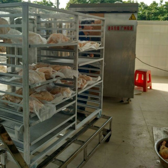 Buy Ultra Low Temperature Liquid Nitrogen Blast Freezer Small Size ...