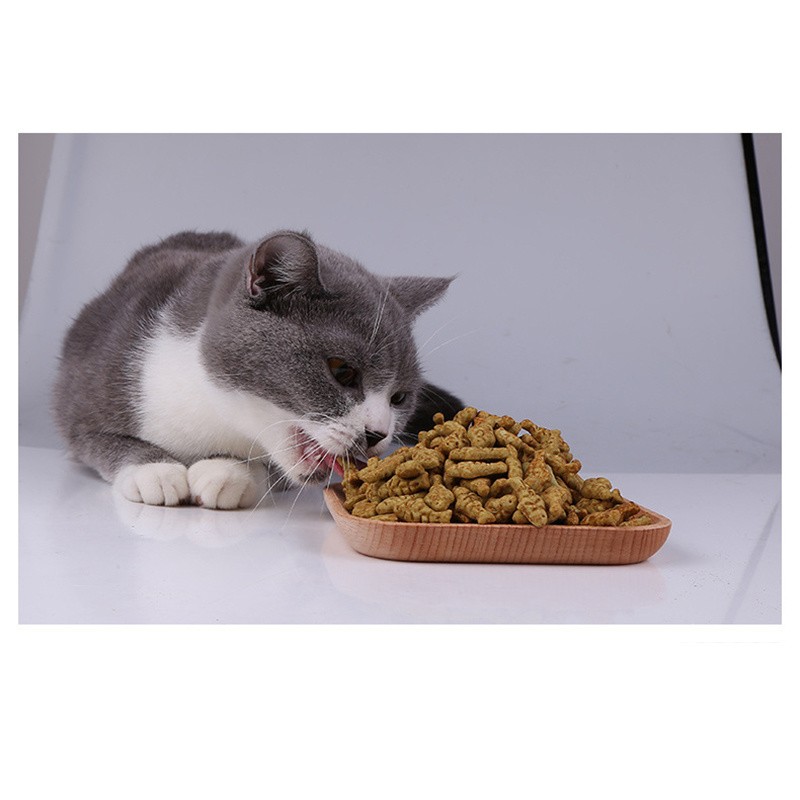 Buy Wholesale Fish Biscuit Cat Treats Kitten Molars Nutrition Fattening ...
