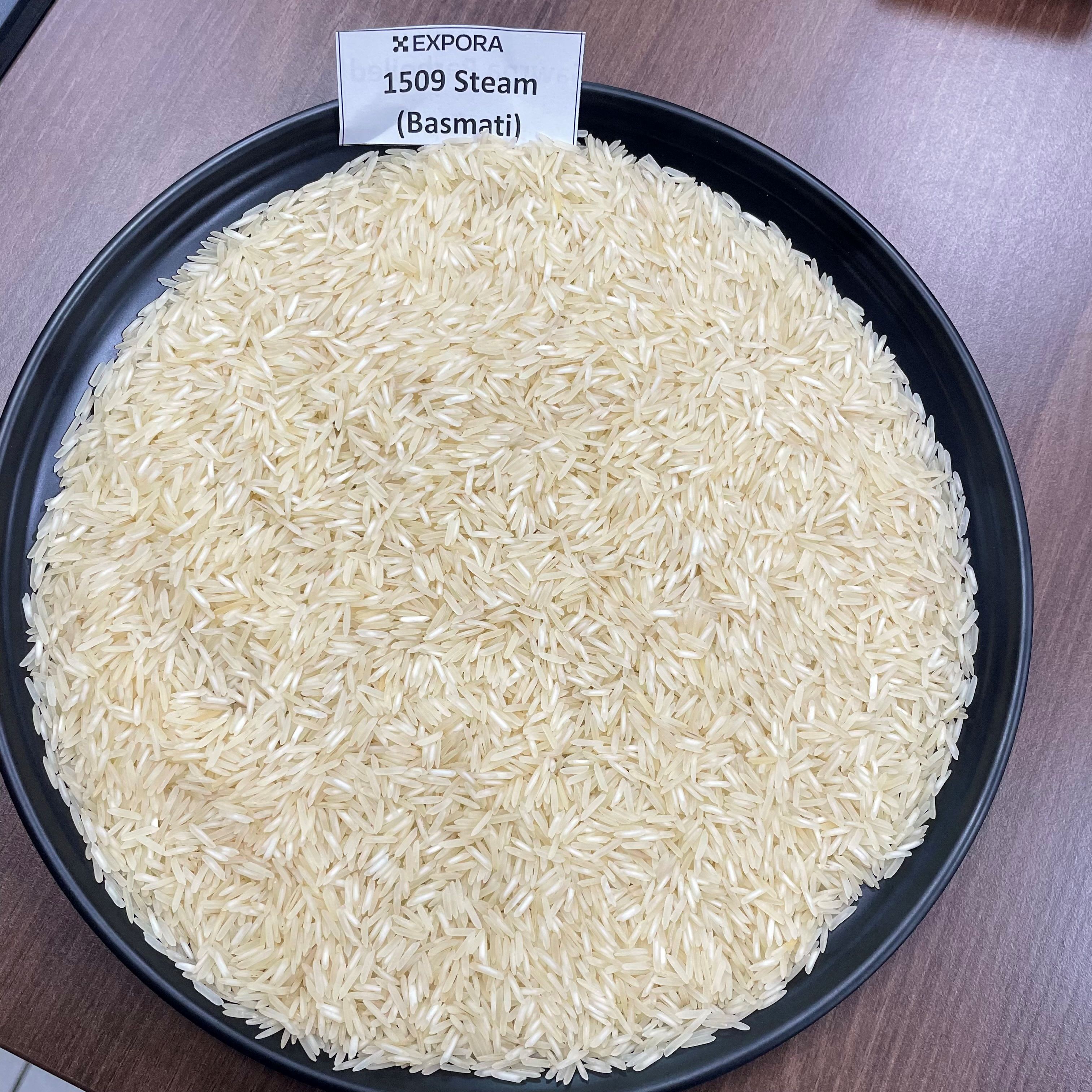 Buy 1509 Steam Rice from Expora - Aspirarch Market Platforms Pvt. Ltd ...