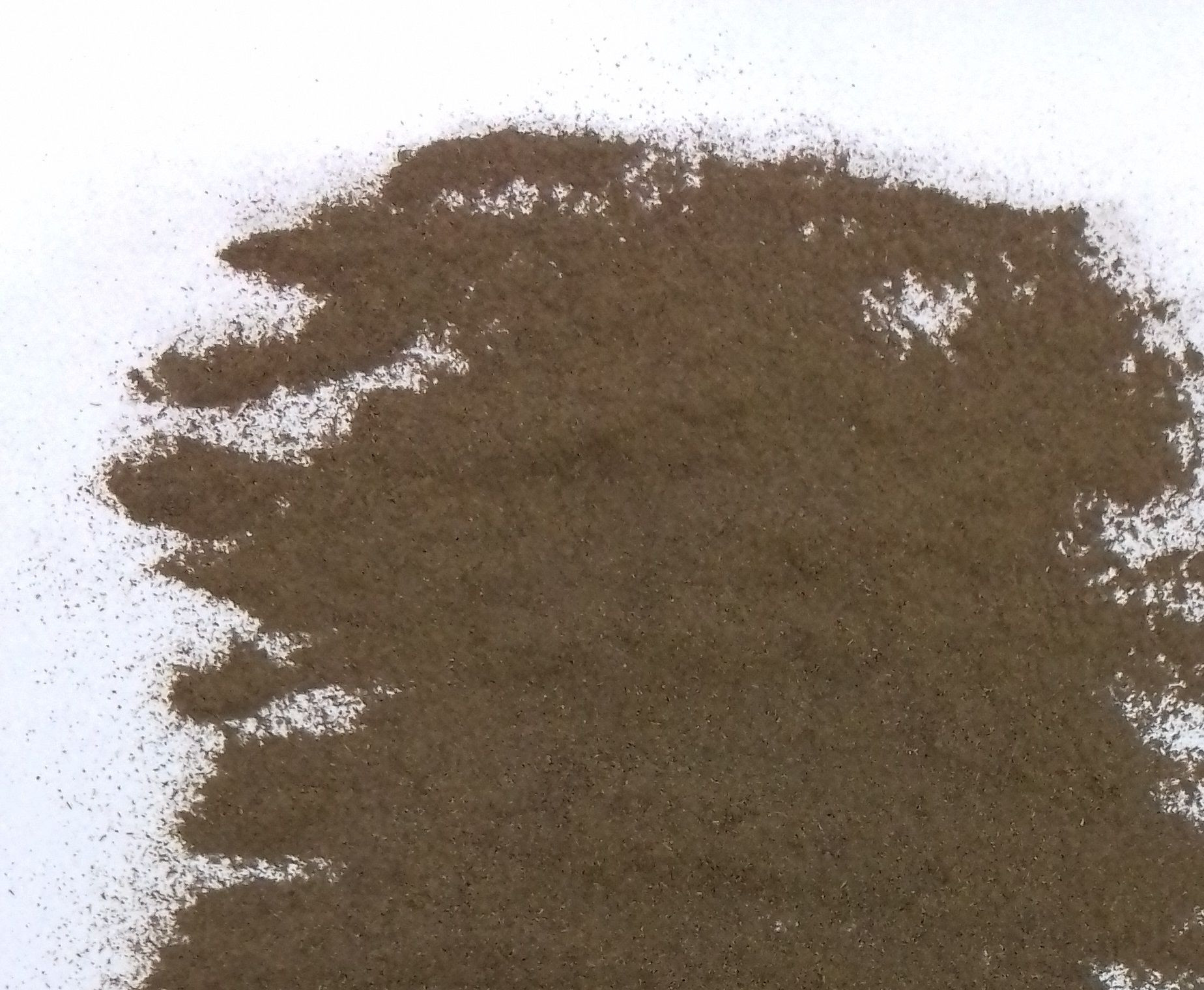 Buy Pau D Arco Powder, Extract from PROVER BRASIL FOR EXPORT LTDA ...