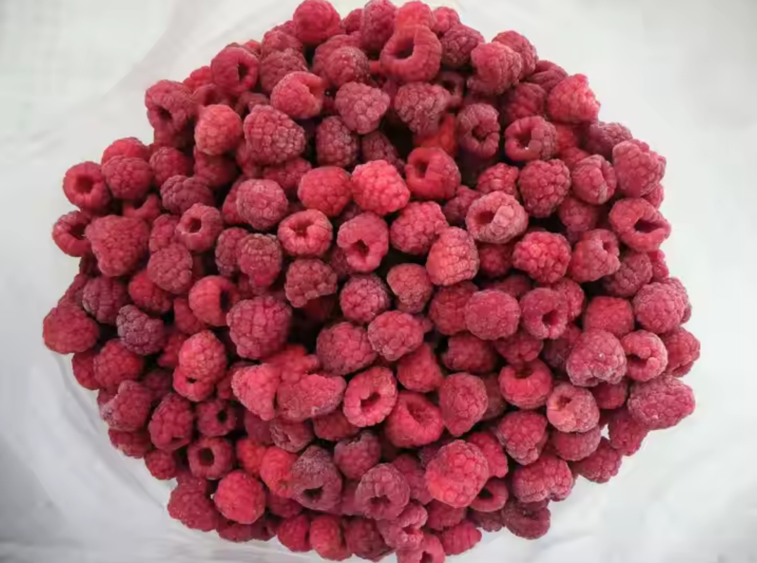 Buy Frozen Raspberry Bulk from RIZHAO Jin Gu Yuan Agricultural ...