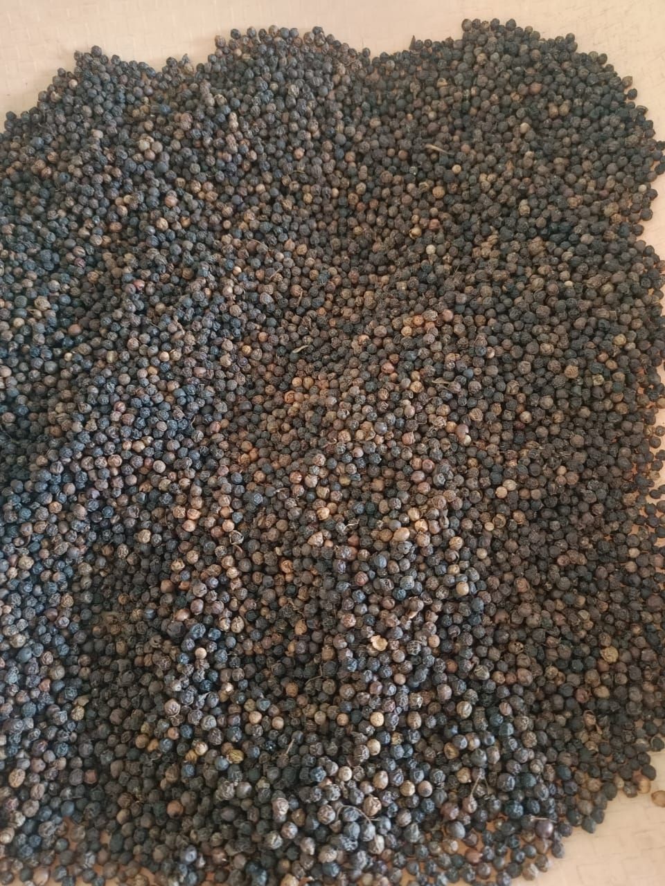 Buy Black Papper from Company - wholesome spices, India | Tradewheel.com