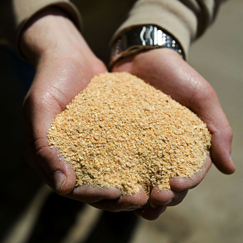 Buy Bulk Soybean Meal Online For Animal Feed High Protein, Gmo-free ...