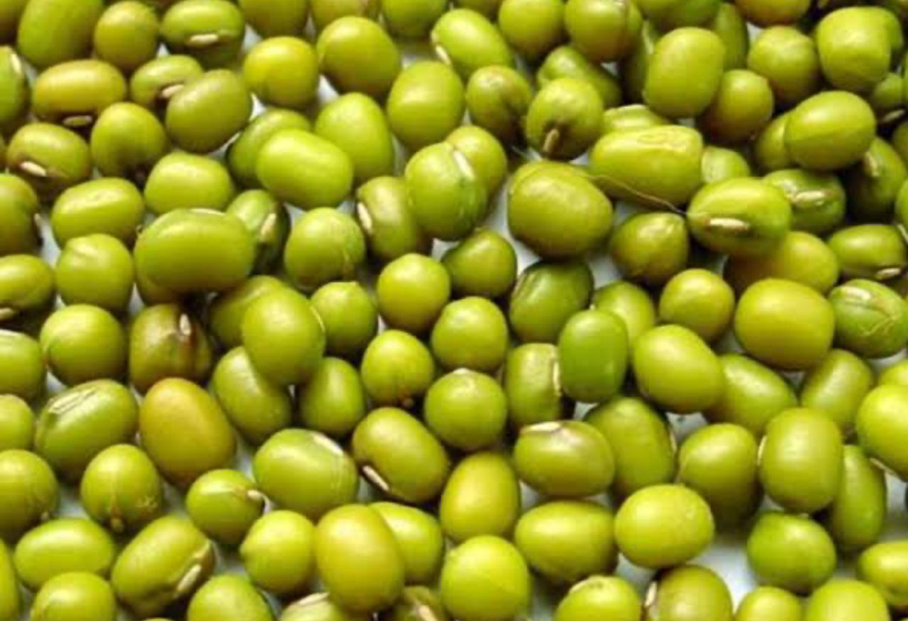 Buy Green Mung Beans from Addis Coffee, Netherlands | Tradewheel.com