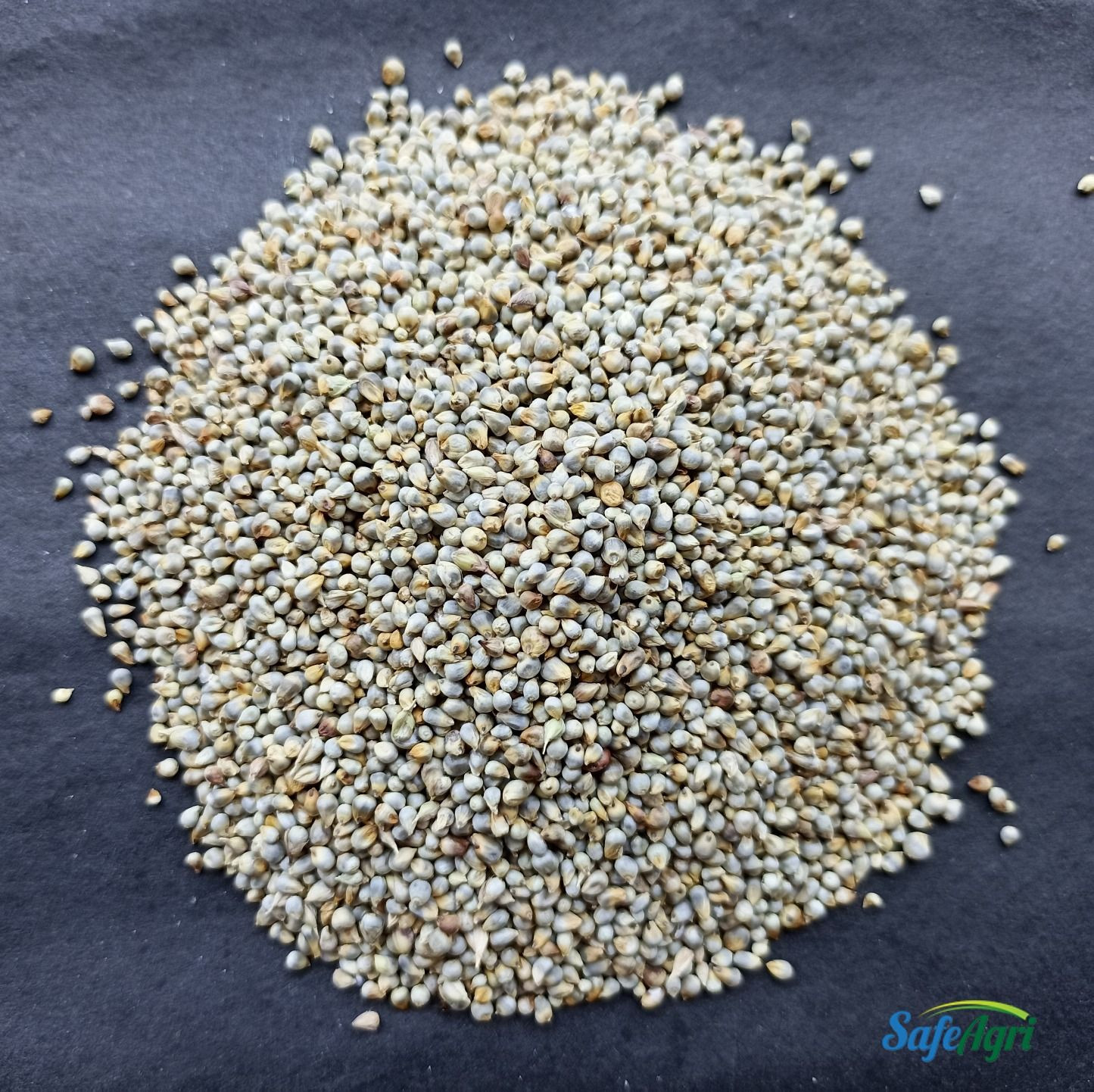 Buy Green Millet from Safe Agritrade Private Limited, India ...