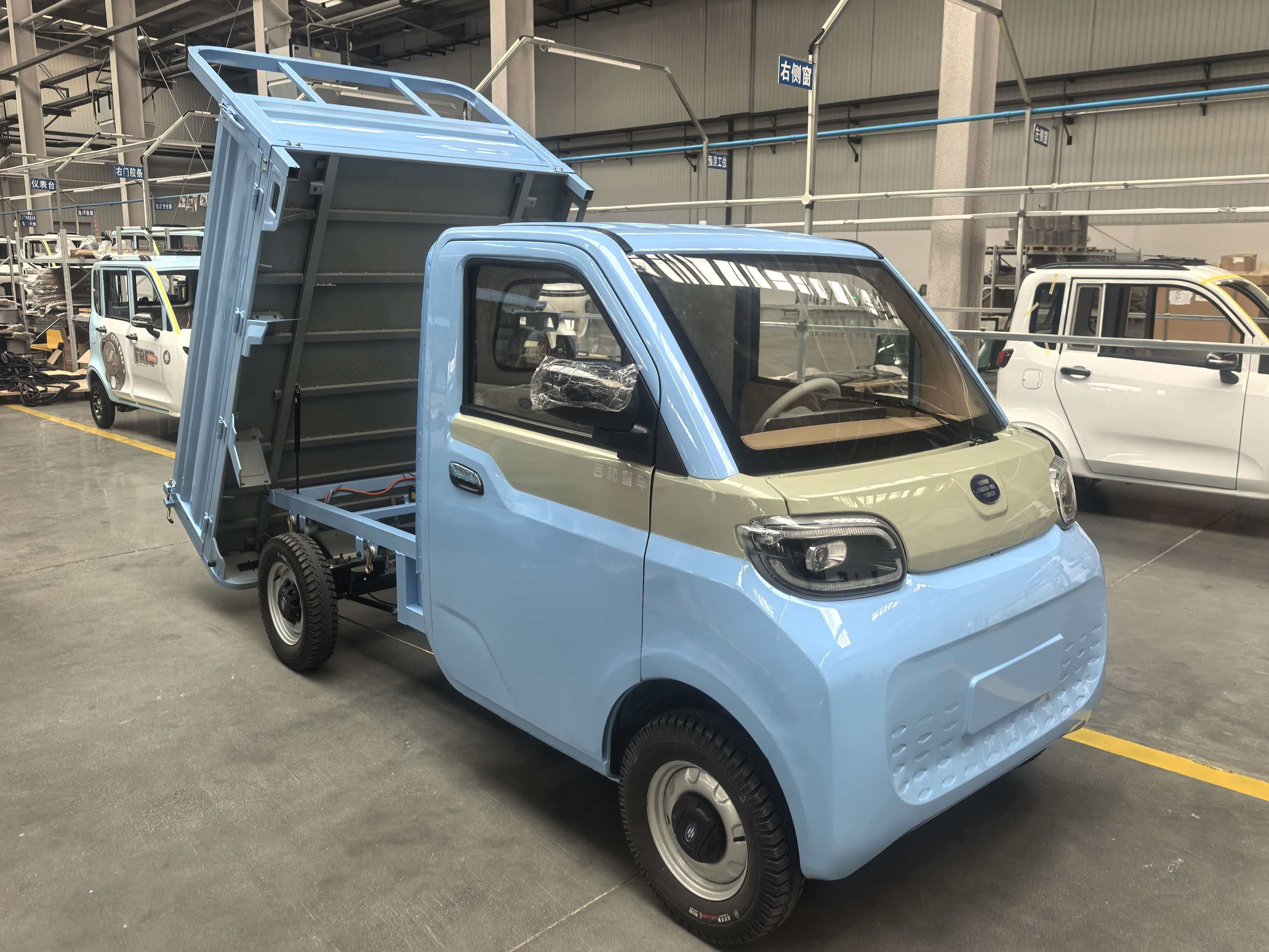 Buy Low Speed Electric Pickup Mini Light Tipper Truck With Eec ...