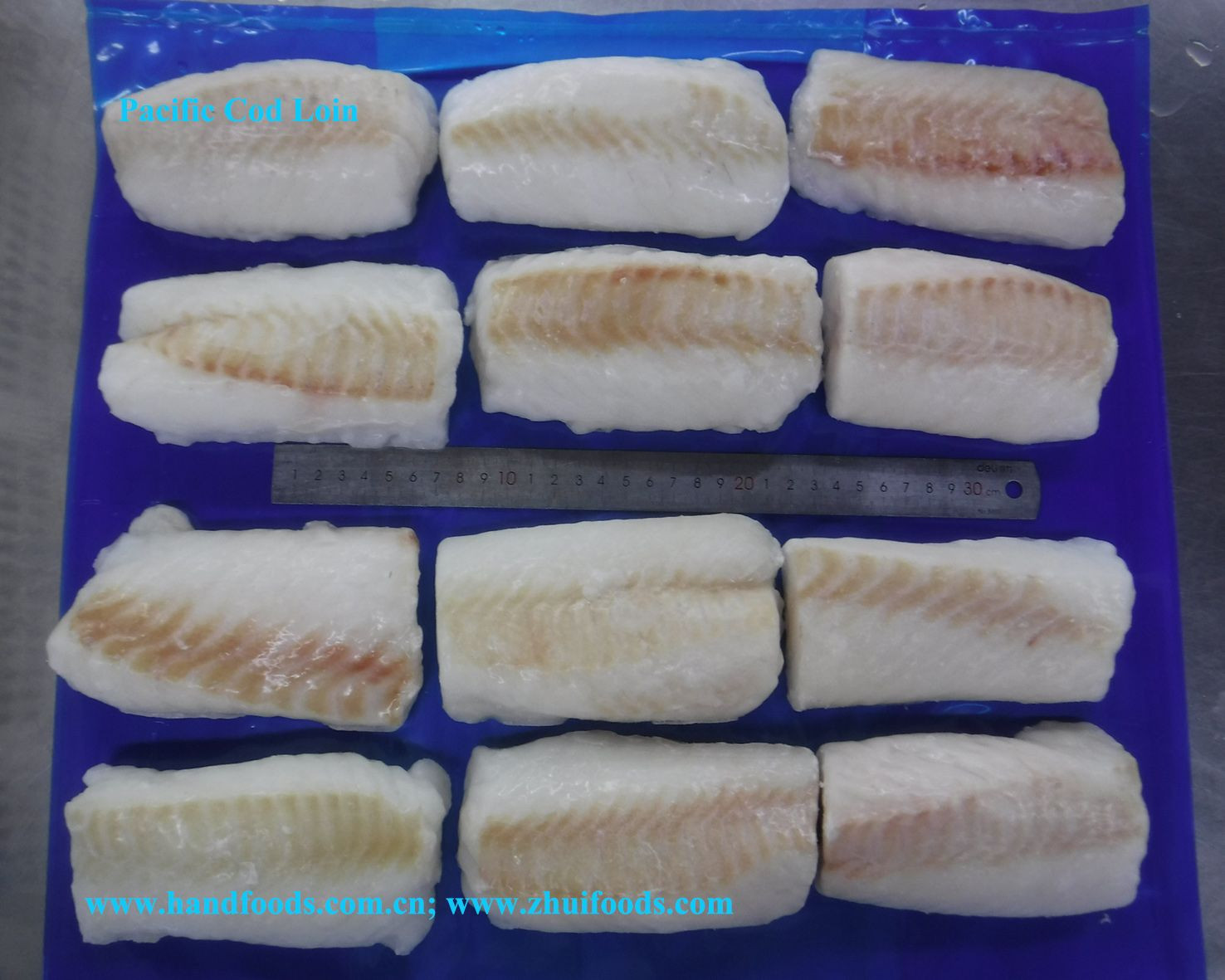 Buy Frozen Pacific Cod Loin from Hand Foods (Dalian) Co., Ltd., China ...