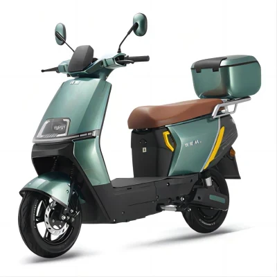 Buy 1000 W-1200 W Ultra-long Range Green Electric Bike from Ningbo ...