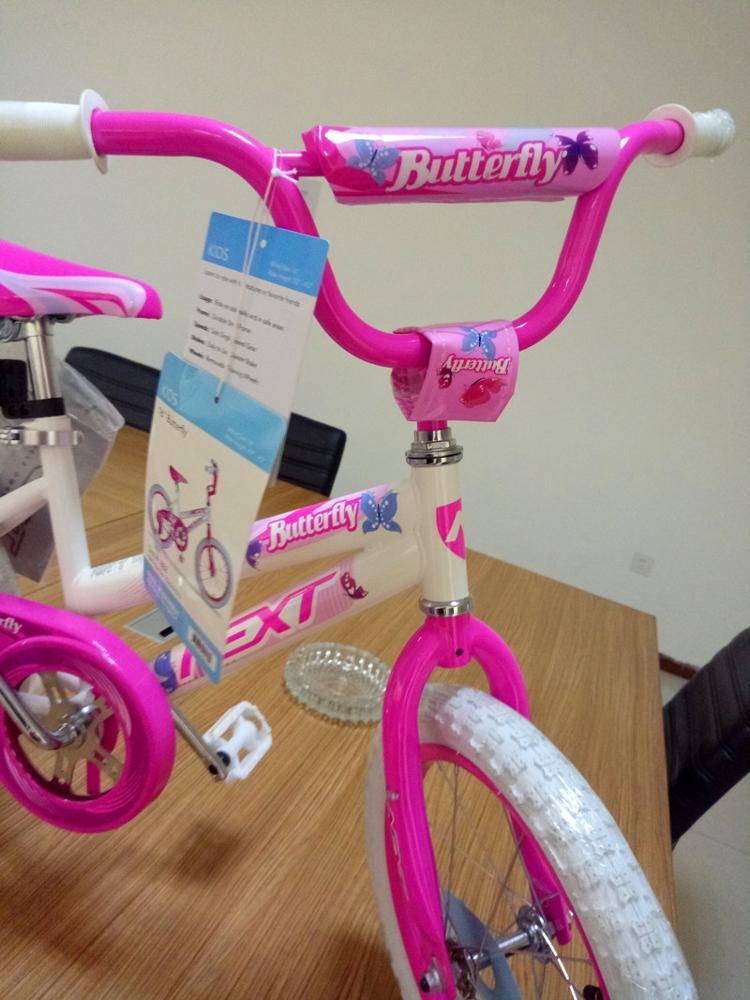 Buy 16 Girls Bike Princess Girls Bicycles With Carrier / 16 Girls Child ...