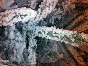 Buy Artificial Snow Flocking Machine For Christmas Tree from Shaanxi ...