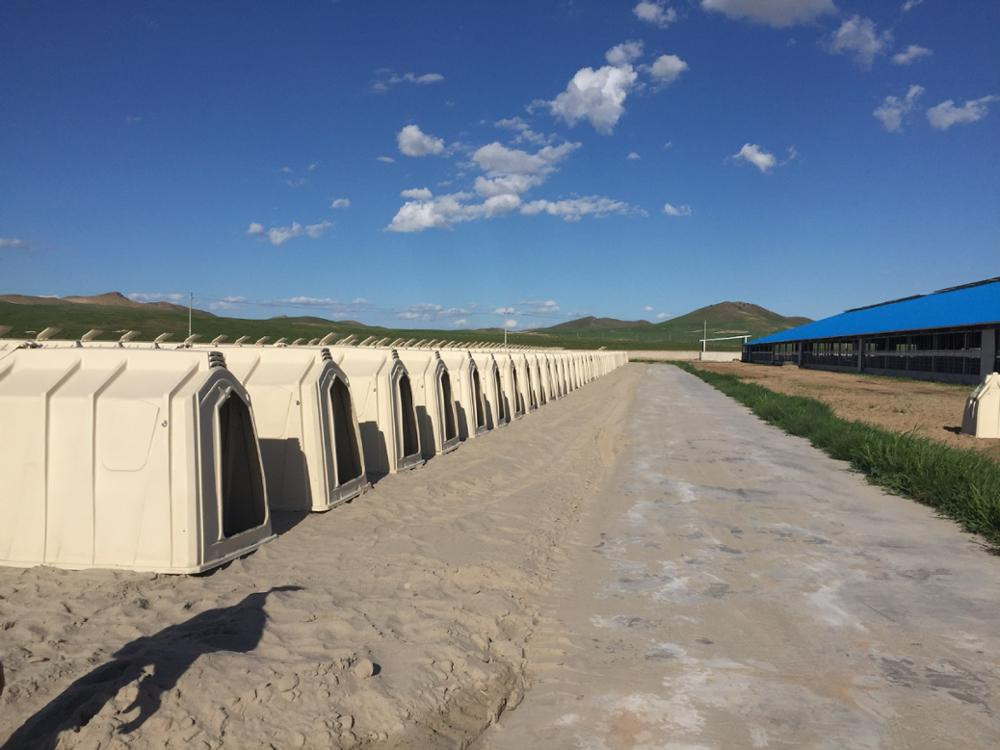 Buy Calf Hutch Calves Nursing Crates Cattle Equipment Durable Pp Calves ...