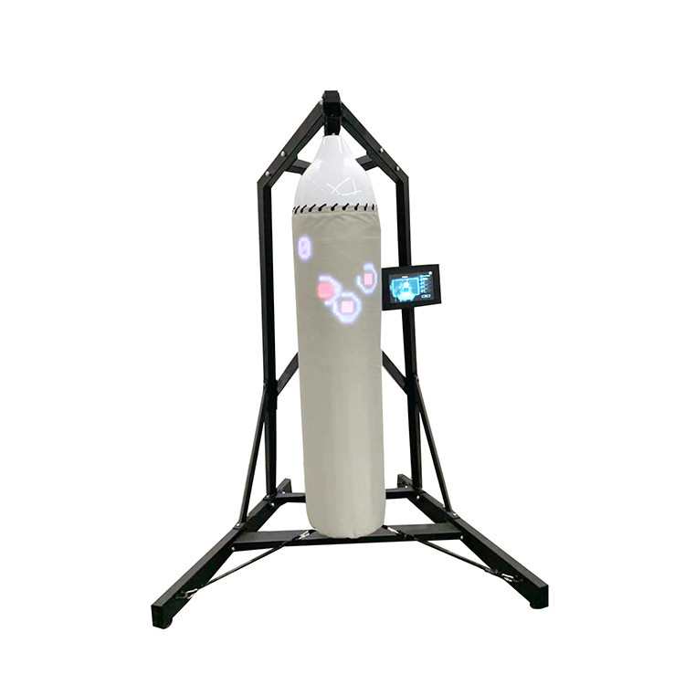 Buy Free Standing Electronic Adult Networking Punching Boxing Bag With ...