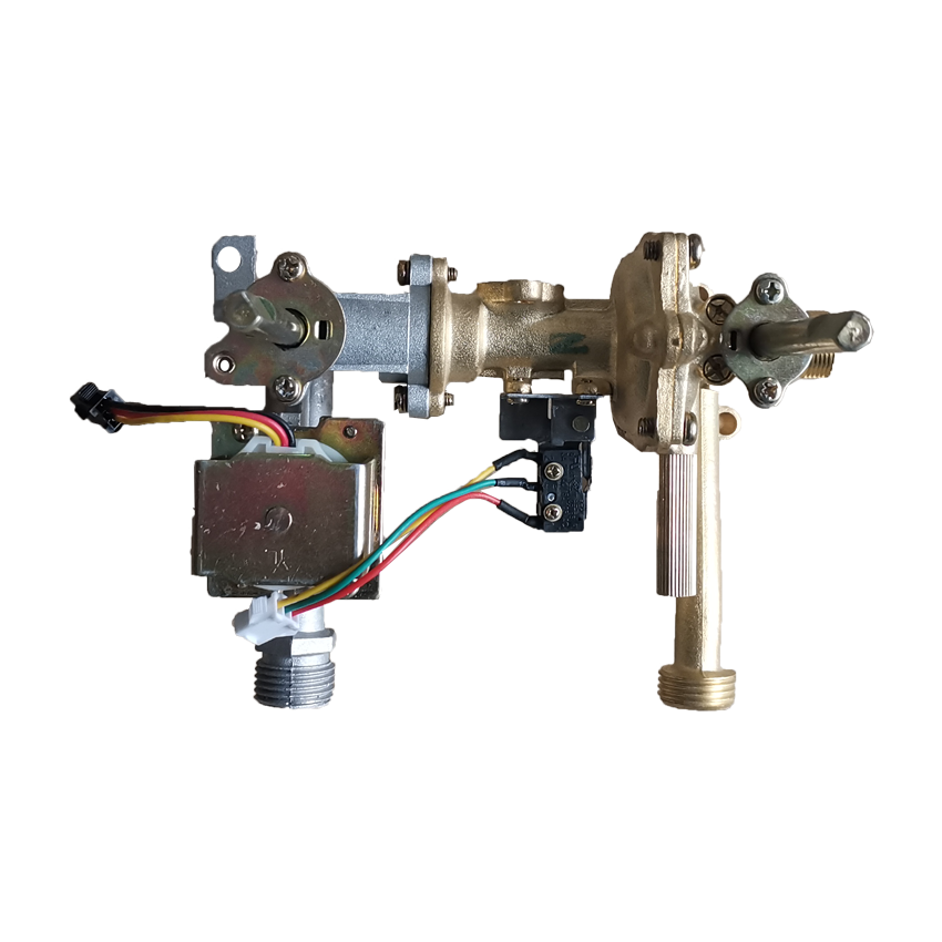 Buy Gas Geyser Valve Ckd Skd Flue Forced Burner Heat Exchanger Parts ...