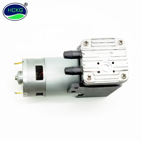 Buy Hckg 2020 Custom 20/30/35/40l Dc Brush Micro Piston Air Pump from ...
