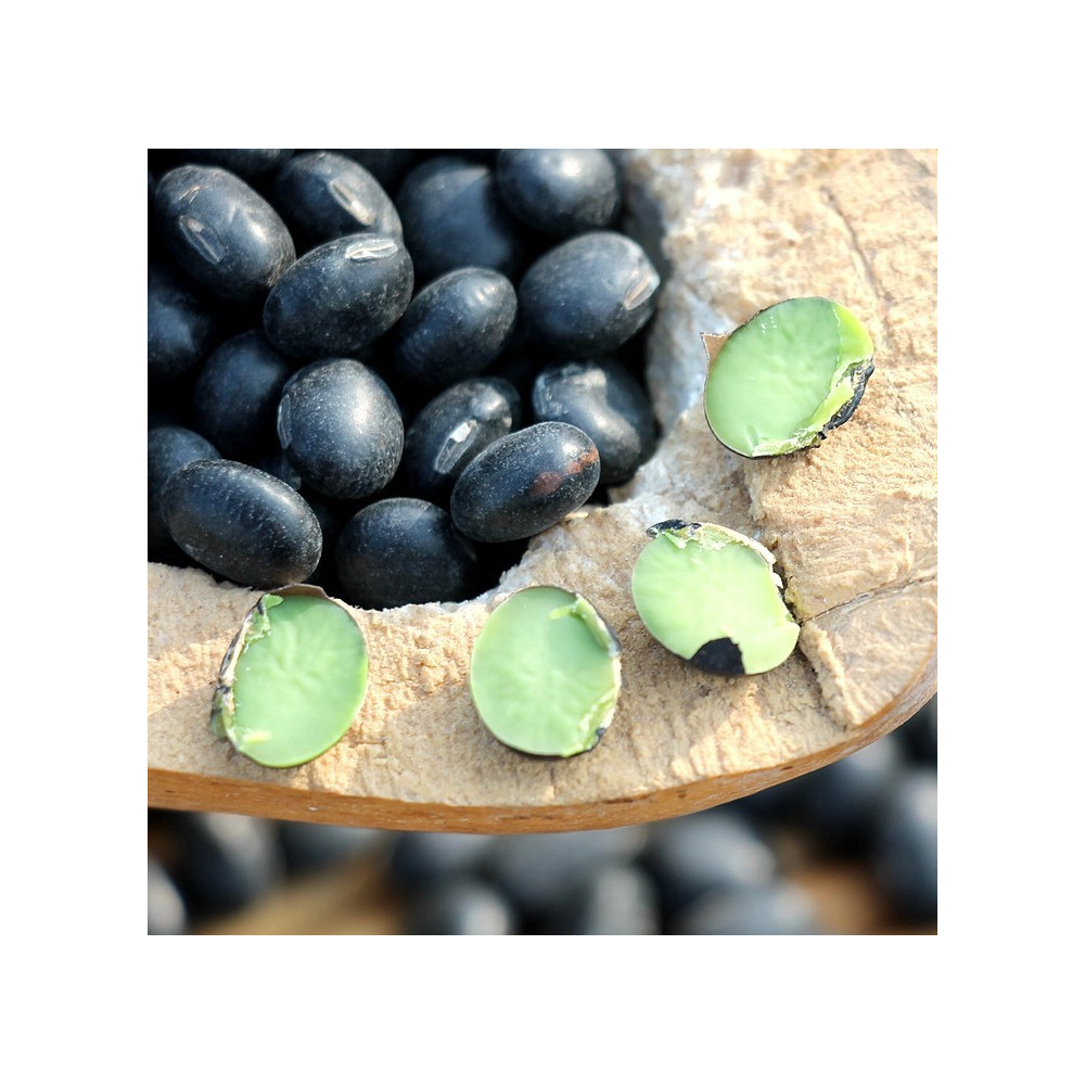 Buy Make Canned Black Beans Black Beans Pakistan Black Vanilla Beans ...