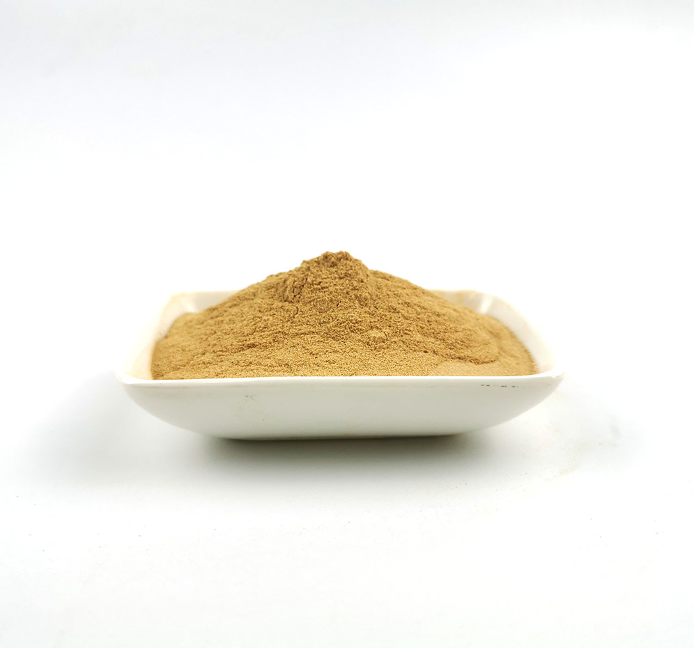 Buy Pet Feed Vegetarian Seasoning Benny Chicken Seasoning Powder Meal ...