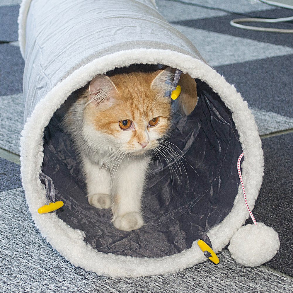 Buy Rena Pet Good Quality Foldable Interactive Pet Crinkle Long Cat ...