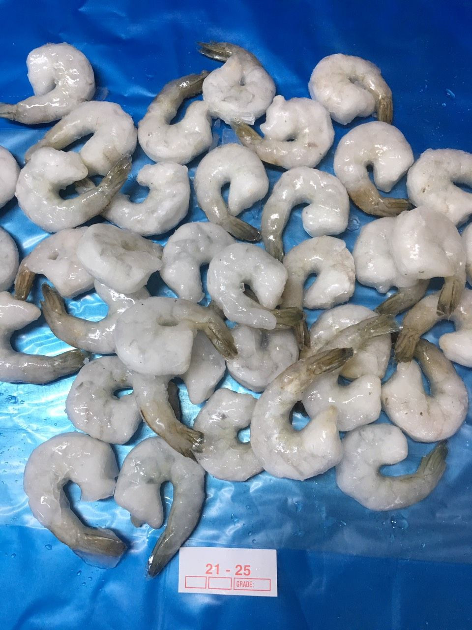 Buy Vannamei Shrimp from IRIS BLUE GENERAL TRADING LLC, United Arab ...