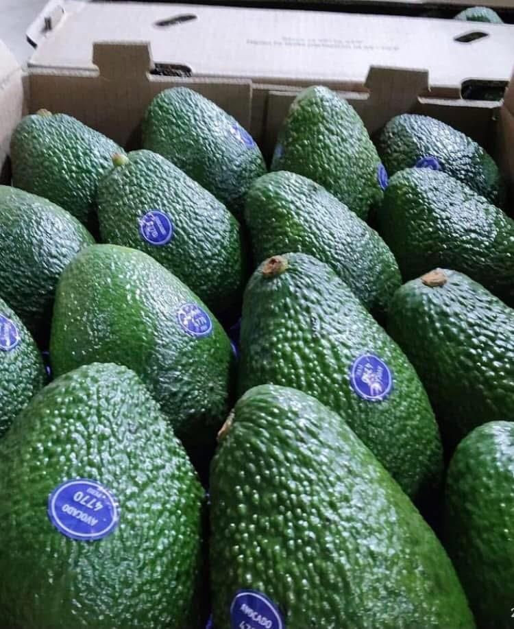 Buy Avocado Fresh Fruit Hass Avocados For Sale Rich Green Premium from ...