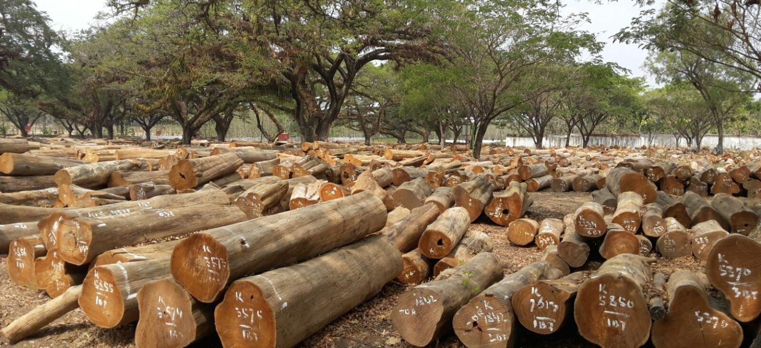 Buy Teak Timber from CV agri java sejahtera, Indonesia | Tradewheel.com