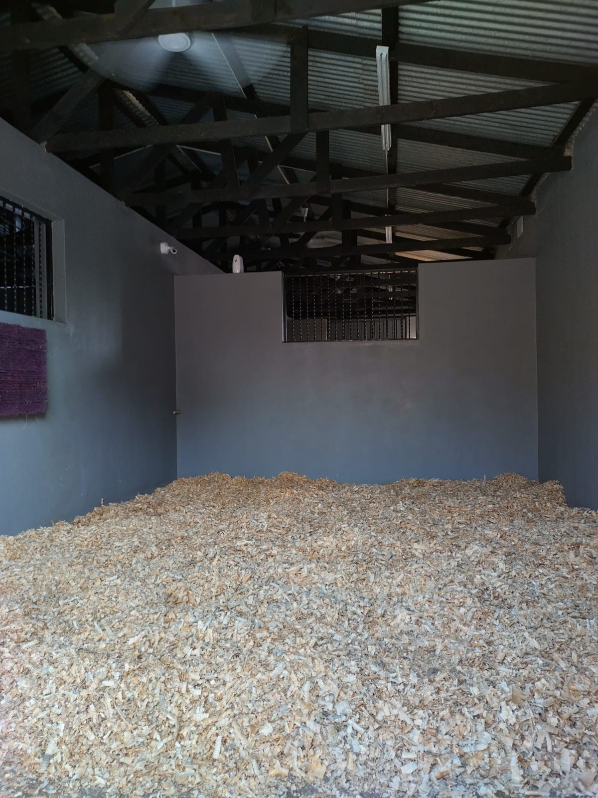 Buy Wood Shaving, Timber, نشارة from Infinity Hub Global Trading/ The ...