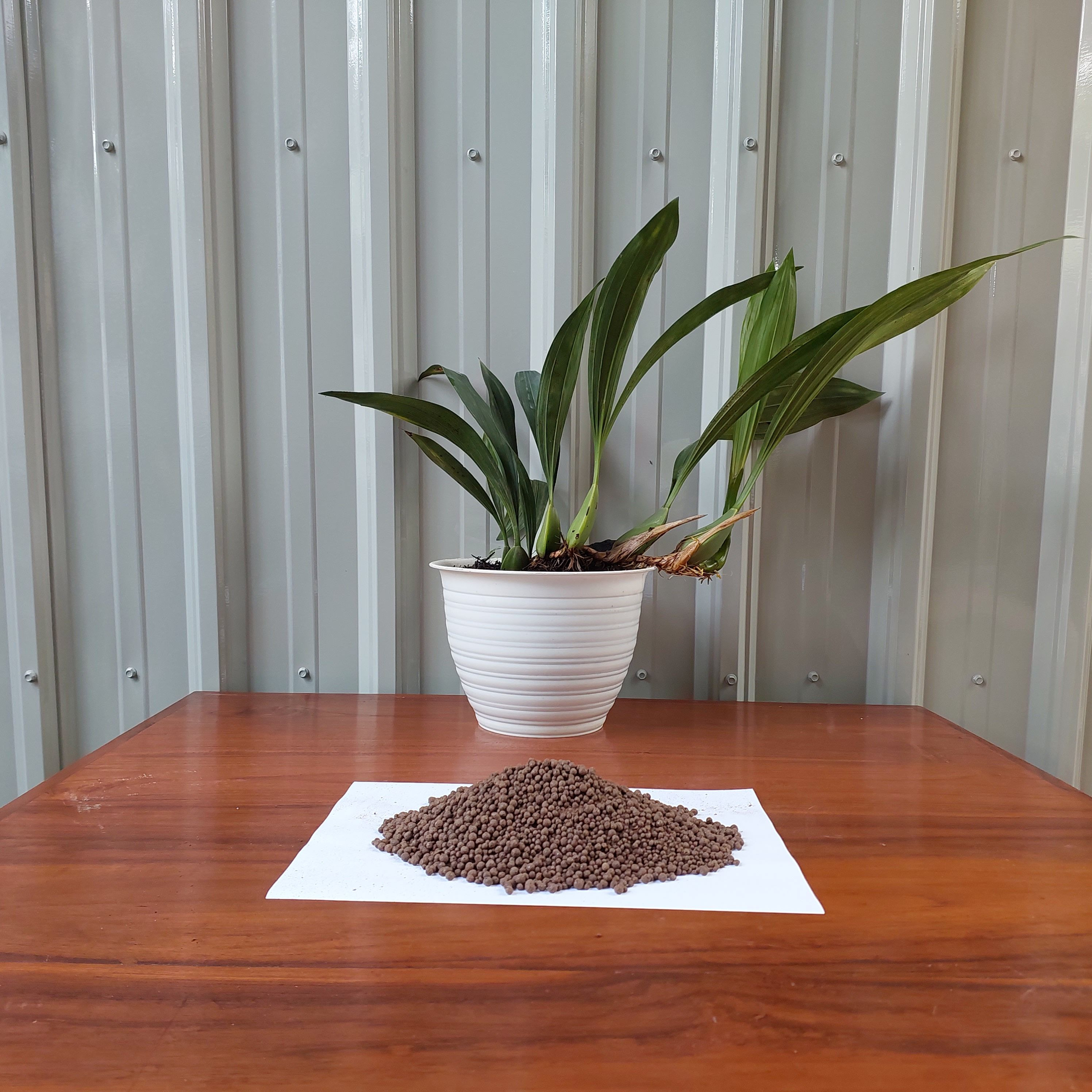 Buy Seabird Guano Organic Fertilizer from Madubaru Agrikultura ...