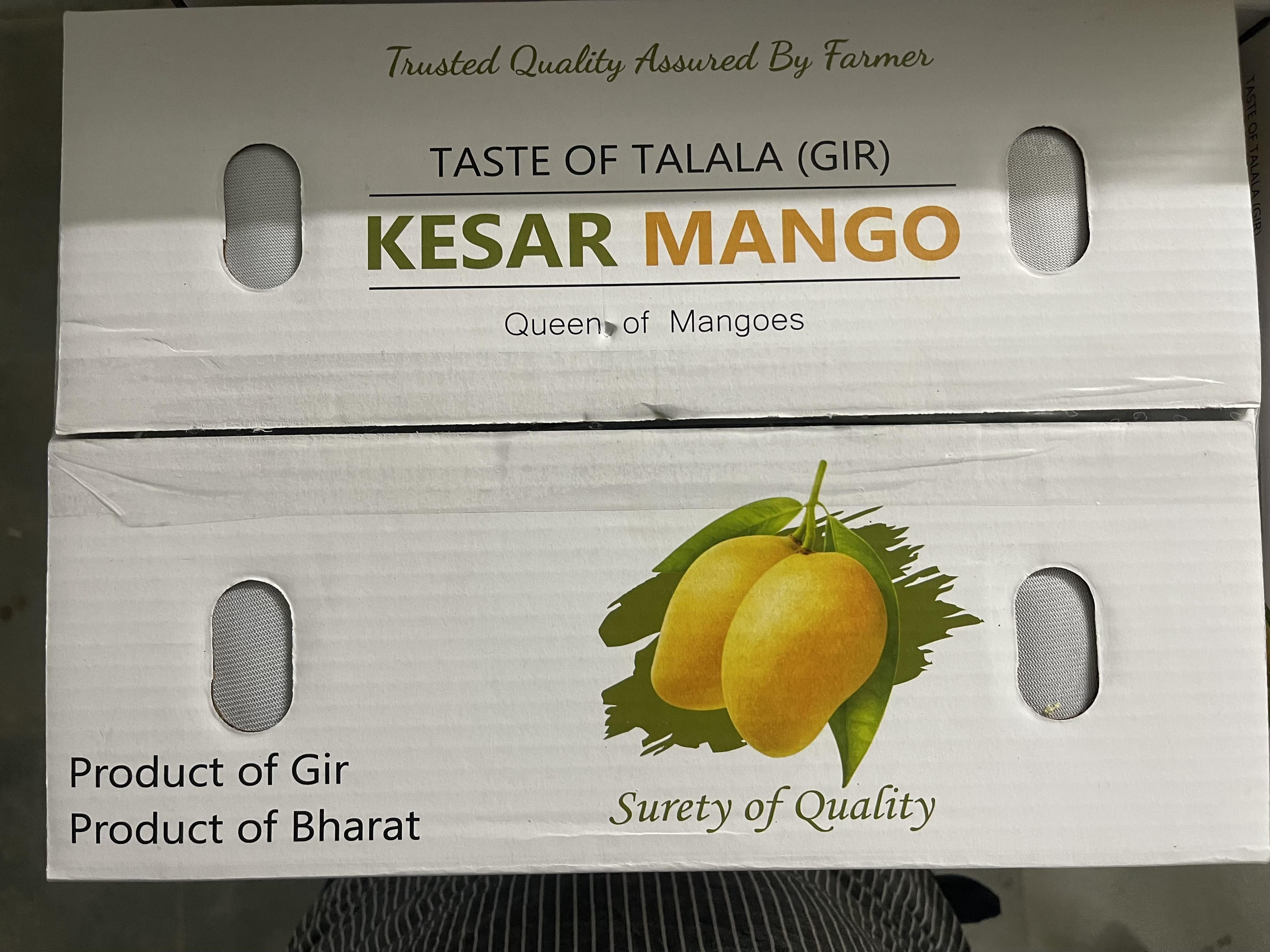 Buy Fresh Kesar Mango from New Wave Global Import Export, India ...