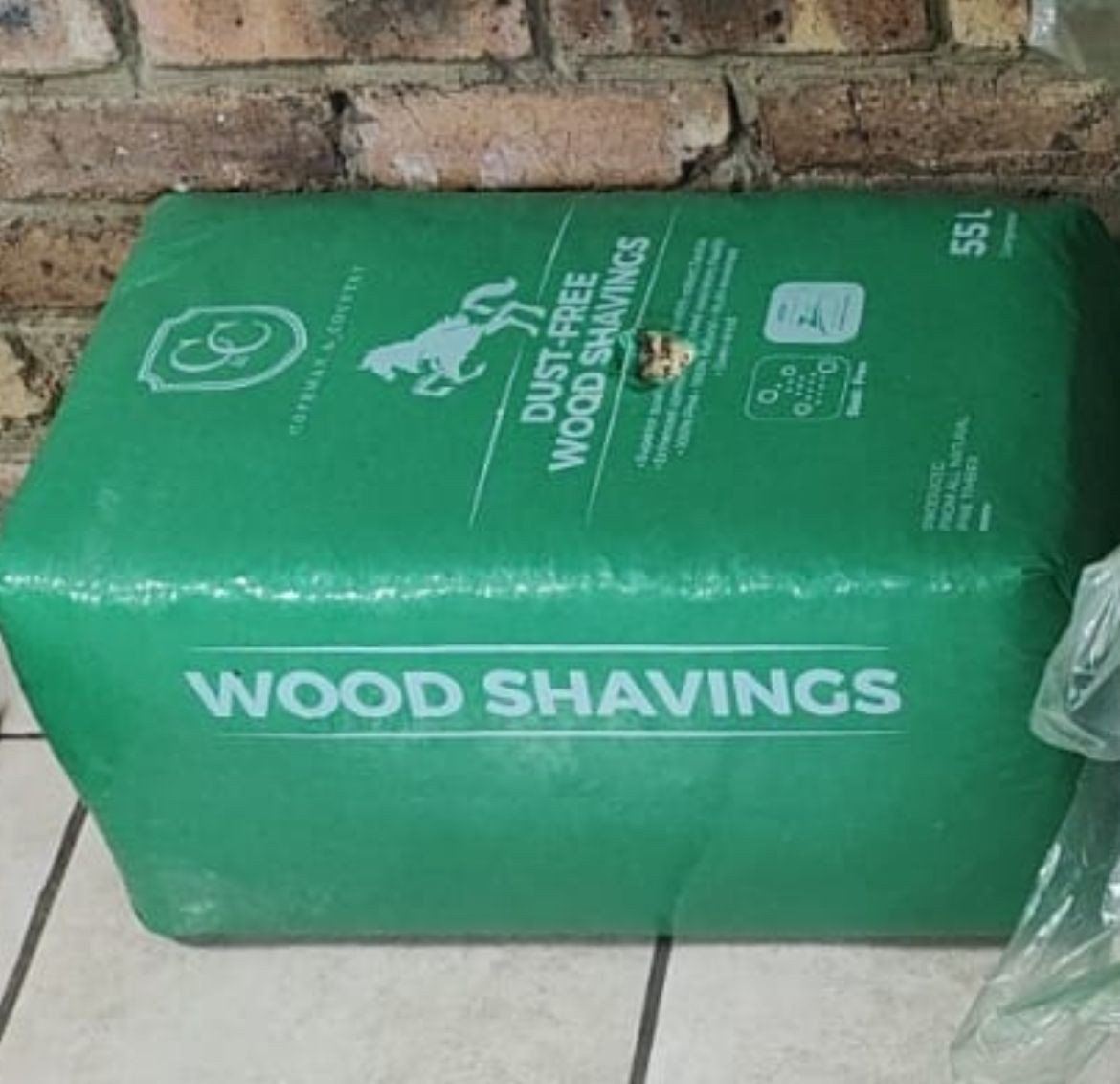 Buy Wood Shaving, Timber, نشارة from Infinity Hub Global Trading/ The ...