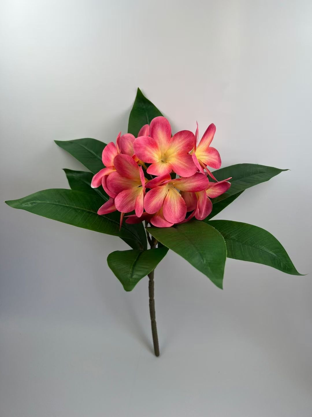 Buy Small Plumeria from Yuxiang artificial flowers, China | Tradewheel.com