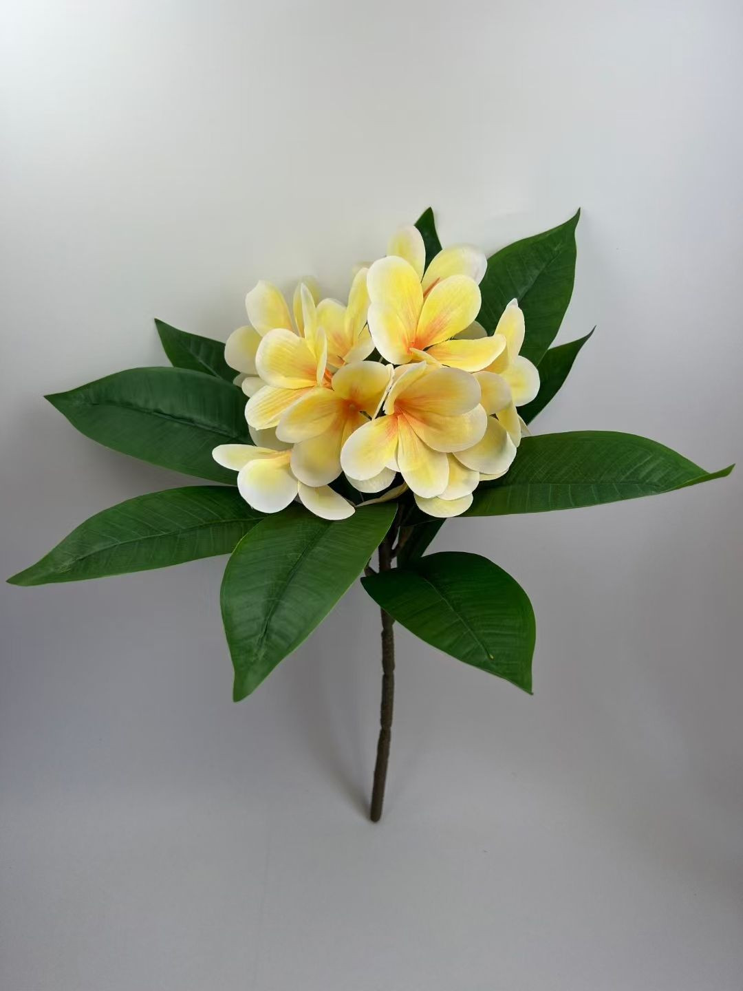 Buy Small Plumeria from Yuxiang artificial flowers, China | Tradewheel.com