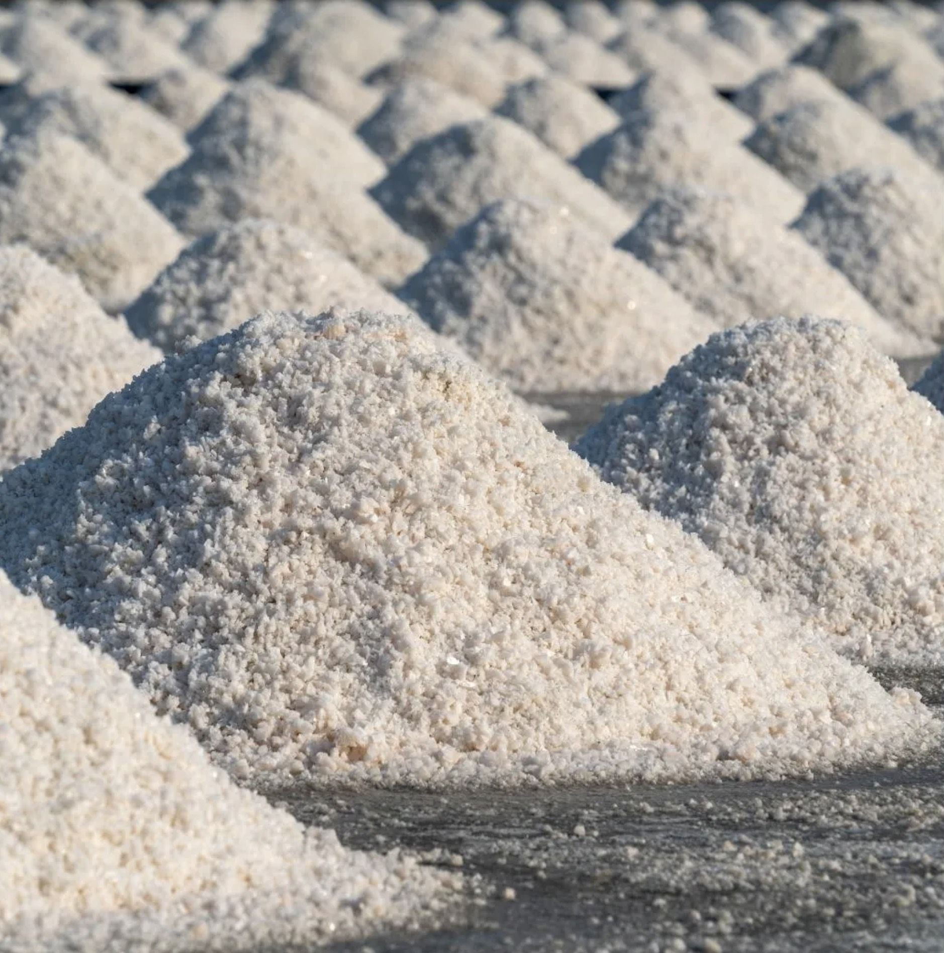 Buy Road Salt from SAK Egypt, Egypt | Tradewheel.com