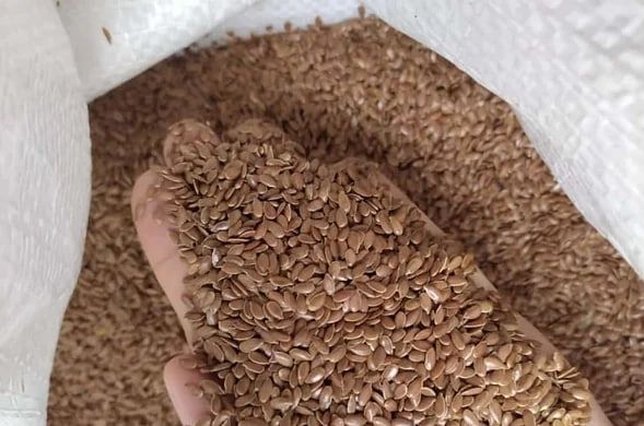 Buy Flax 1000 Tons. Big-bag Packaging From Ukraine from Logisticom ...