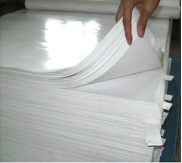 Buy Double A4 Copy Paper from Time Enterprise, USA | Tradewheel.com