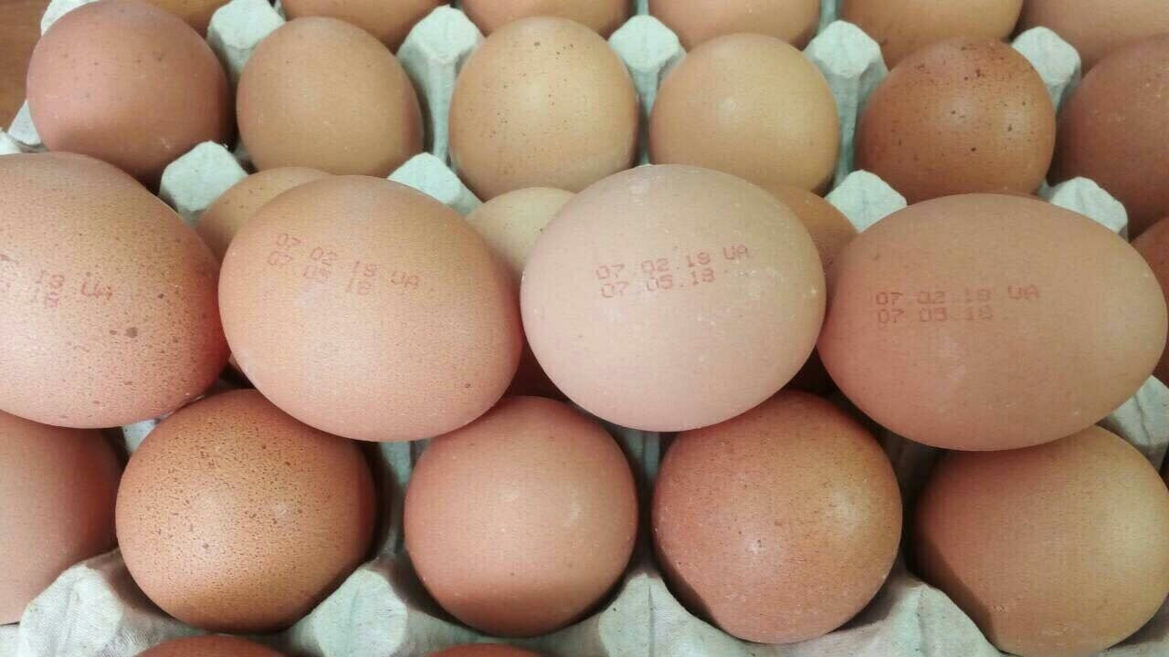 Buy Class A Chicken Eggs from SUNTRADE LLC, Ukraine | Tradewheel.com