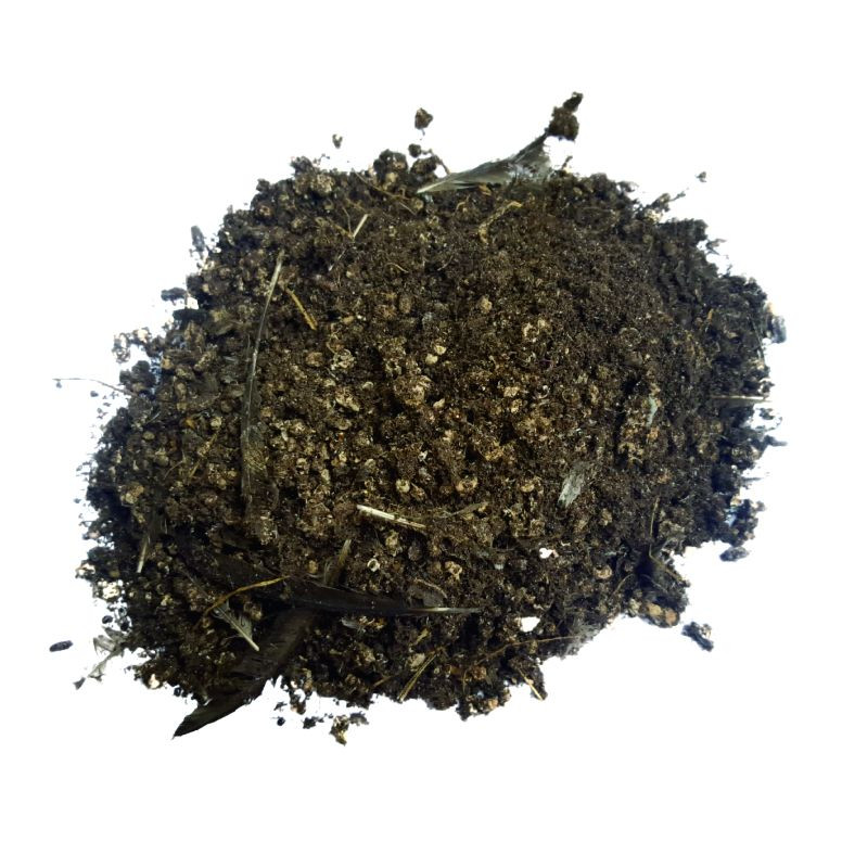 Buy Seabird Guano Organic Fertilizer from Madubaru Agrikultura ...