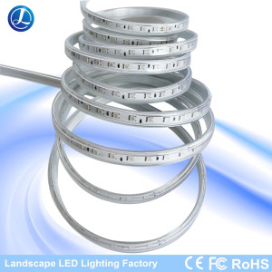 Buy 220v Rgb Led Strip Light No Wires Version 60led/meter High Bright ...