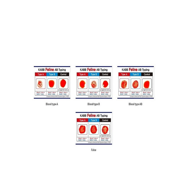 Buy Feline Blood Typing Kit Pet Health Care Supplements Made In Korea ...