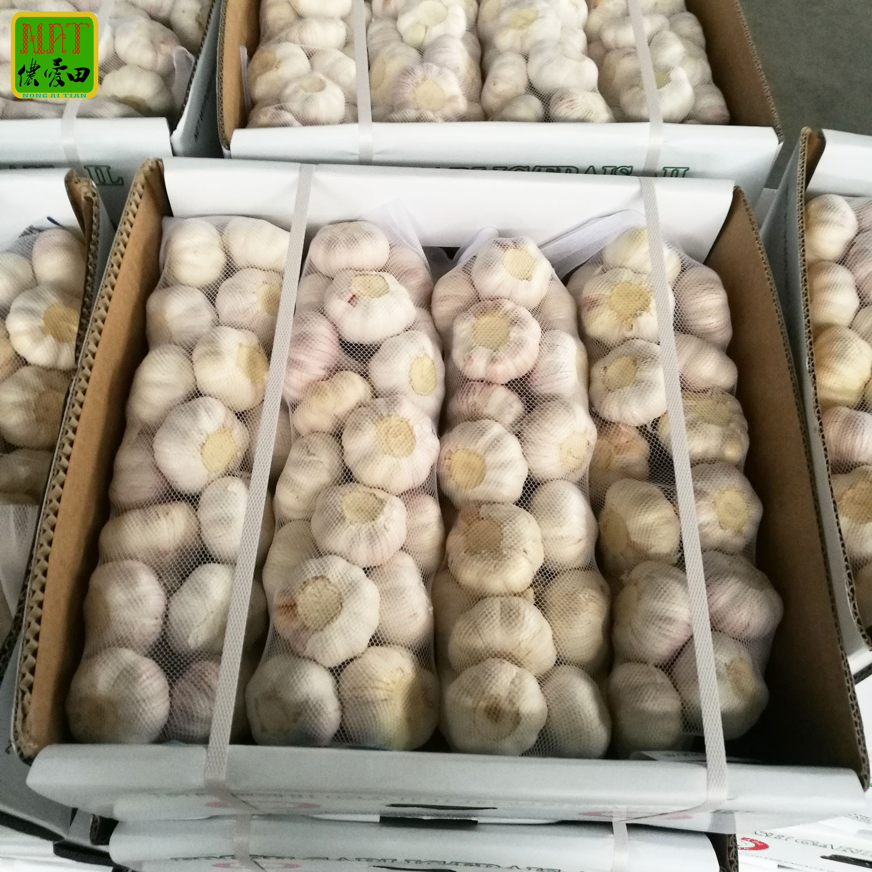 Buy Garlic Chinese Fresh Normal White Garlic Small Package 3p 5p Mesh ...