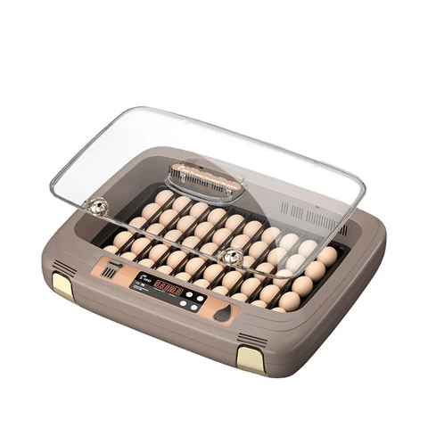 Buy Hhd Best Quality Full Automatic Mini Incubator For All Egg ...