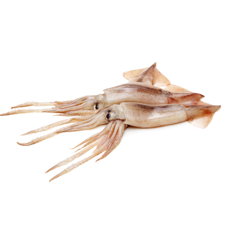 Buy Hot Selling High-quality Frozen Raw Wings Giant Squid Fishing from ...
