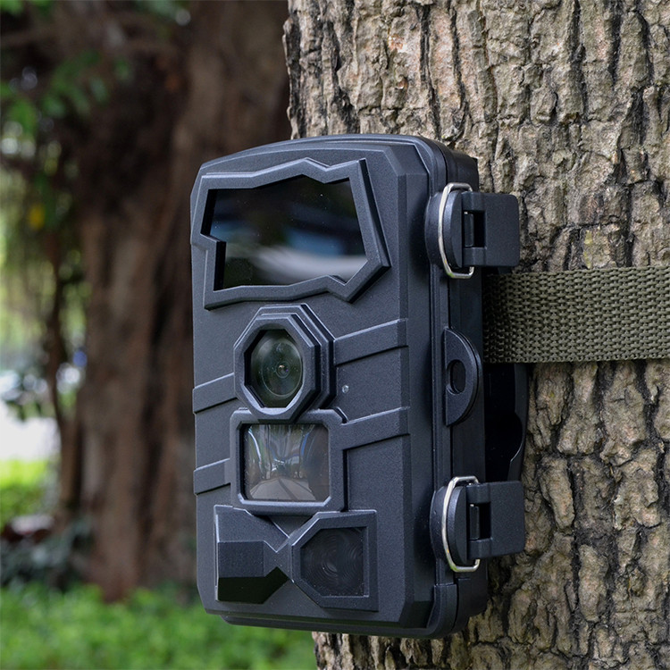 Buy Trail Camera Infrared Light Outdoor Motion Detection Trail Hunting ...