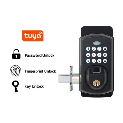 Buy Tuya App Wifi Control Fingerprint Automatic Door Lock Smart Keyless ...