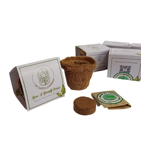 Buy Wholesale Eco Friendly Mini Grow It Yourself Giy Kit Sustainable ...