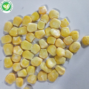 Buy Iqf Frozen Whole Kernel Corn, Yellow Maize Corn In Best Price from ...