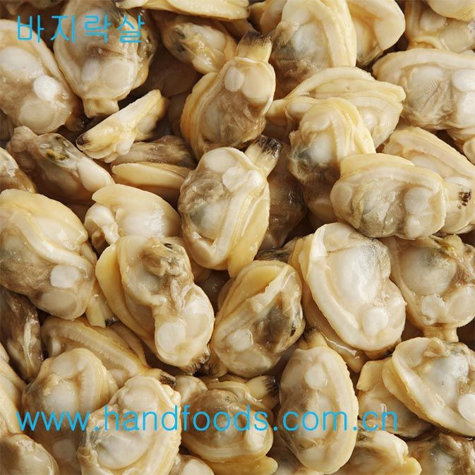 Buy Frozen Cooked Clam Meat from Hand Foods (Dalian) Co., Ltd., China ...