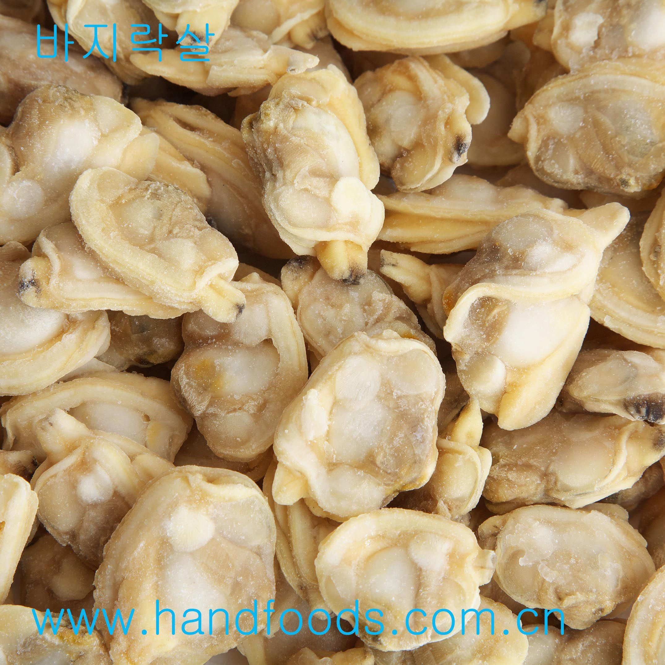 Buy Frozen Cooked Clam Meat from Hand Foods (Dalian) Co., Ltd., China ...