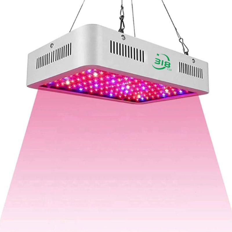 Buy Horticulture Led Grow Lights For Greenhouse Growing 1000 Watt Led ...