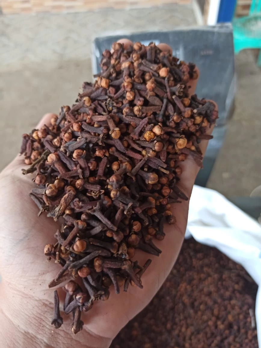 Buy Cloves from CV Suwarna Indosemesta, Indonesia | Tradewheel.com
