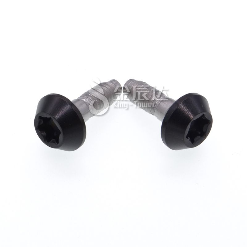Buy Pvd Coating Screw Supplier | Torx oval head Pvd Coating Screw | Pvd ...